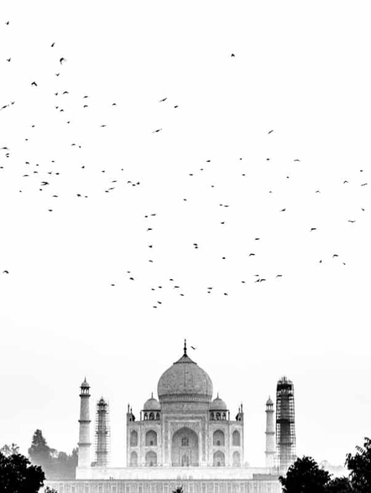 The Taj Mahal in Photos: Postcards From India's Magnificent Mausoleum
