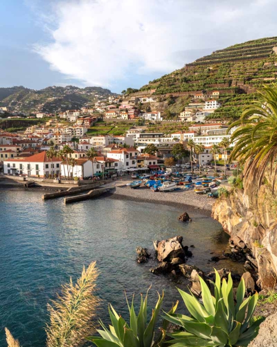 40 Photos of Madeira proving it's a picture perfect destination!
